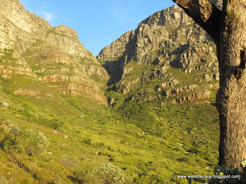 Walking the Cape: Pipe Track: from Kloof Nek