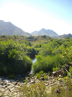 Walking the Cape: Kogelberg: Palmiet River Trail