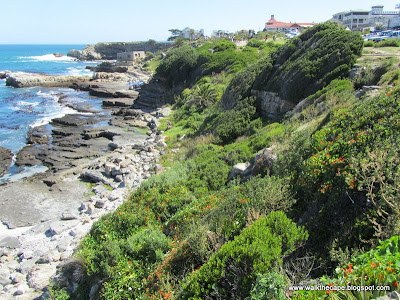Walking the Cape: Hermanus: Cliff Path - West