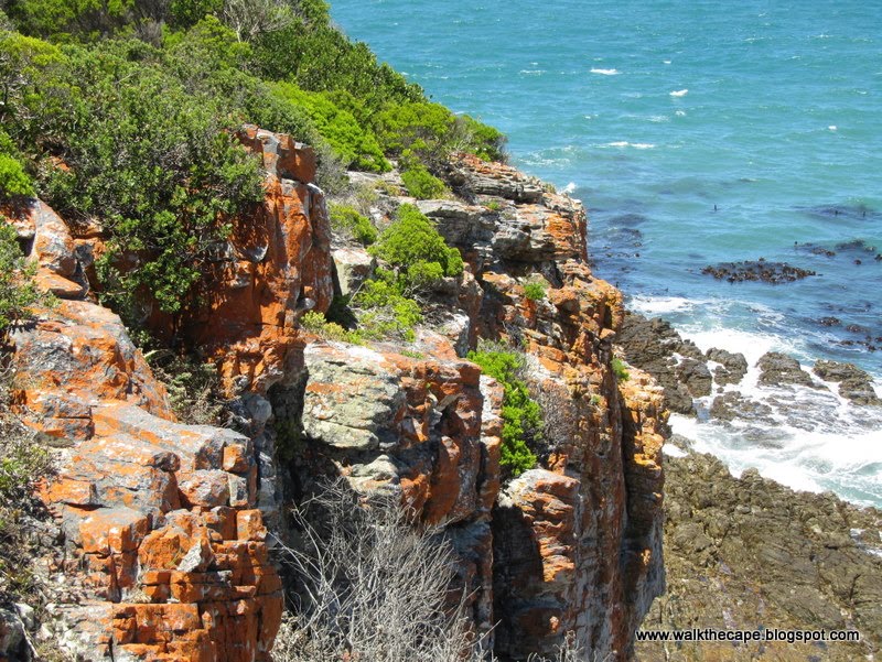 Walking the Cape: Hermanus: Cliff Path - West