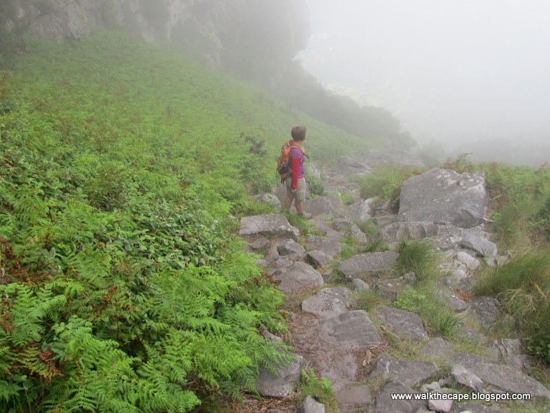 Walking the Cape: Skeleton Gorge & Nursery Ravine