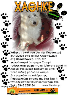 pets-family: Χάθηκε Γκριφόν-Τεριέ