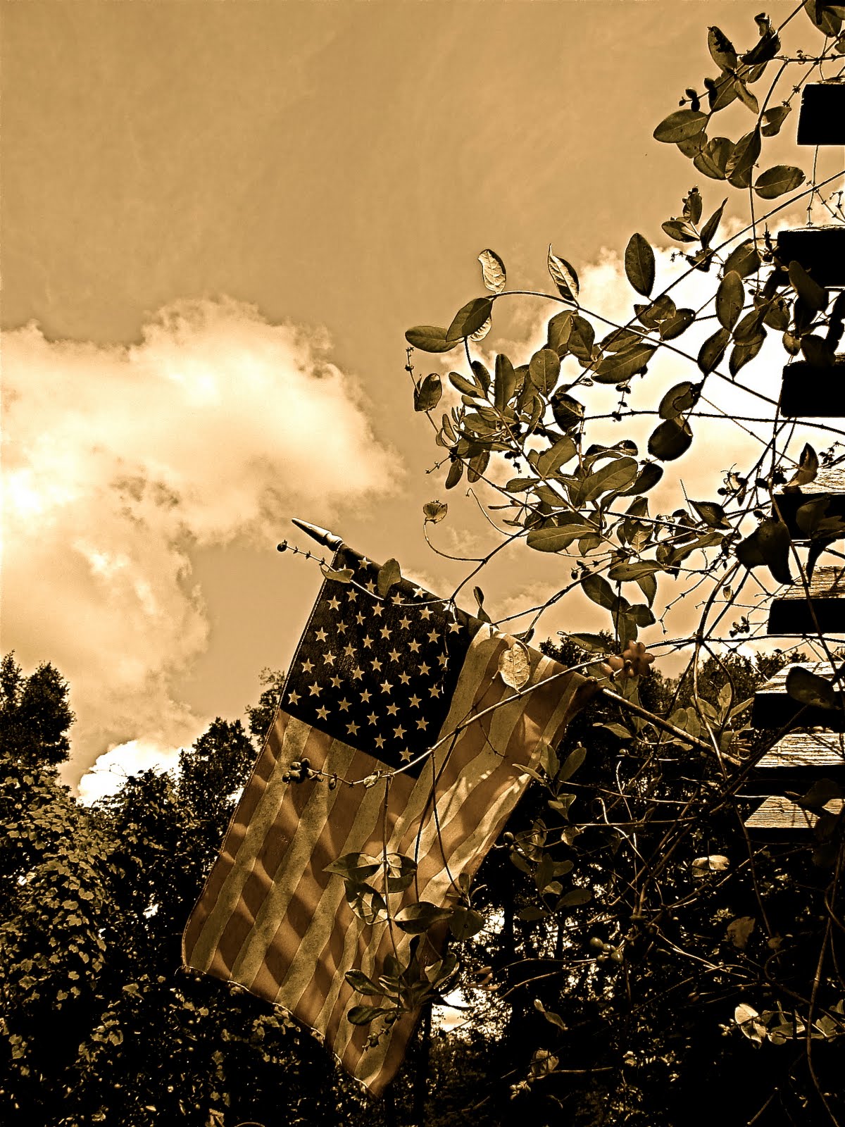 Junie's Place: Sepia Scenes (for Sept 2, 2010) Our Flag