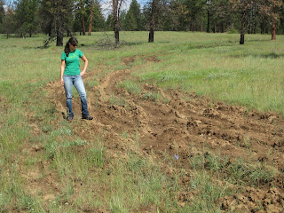 From the Canyons: HCPC moves to protect wildlife in the Sled Springs area