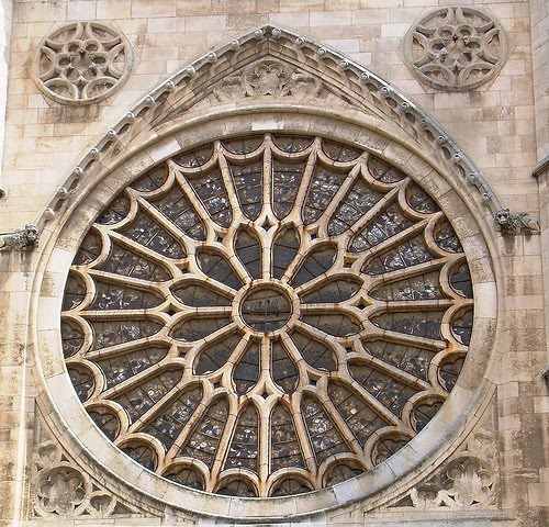 ROSAS DESDE ROSES: ROSETONES