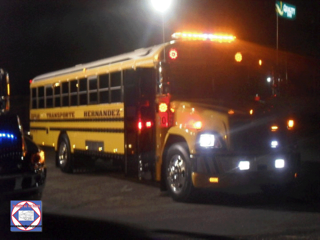 ANDANDO EN BUS: ¡¡COMO SE CUIDAN LOS BUSES EN PUERTO RICO!! NUEVO ESPECIAL