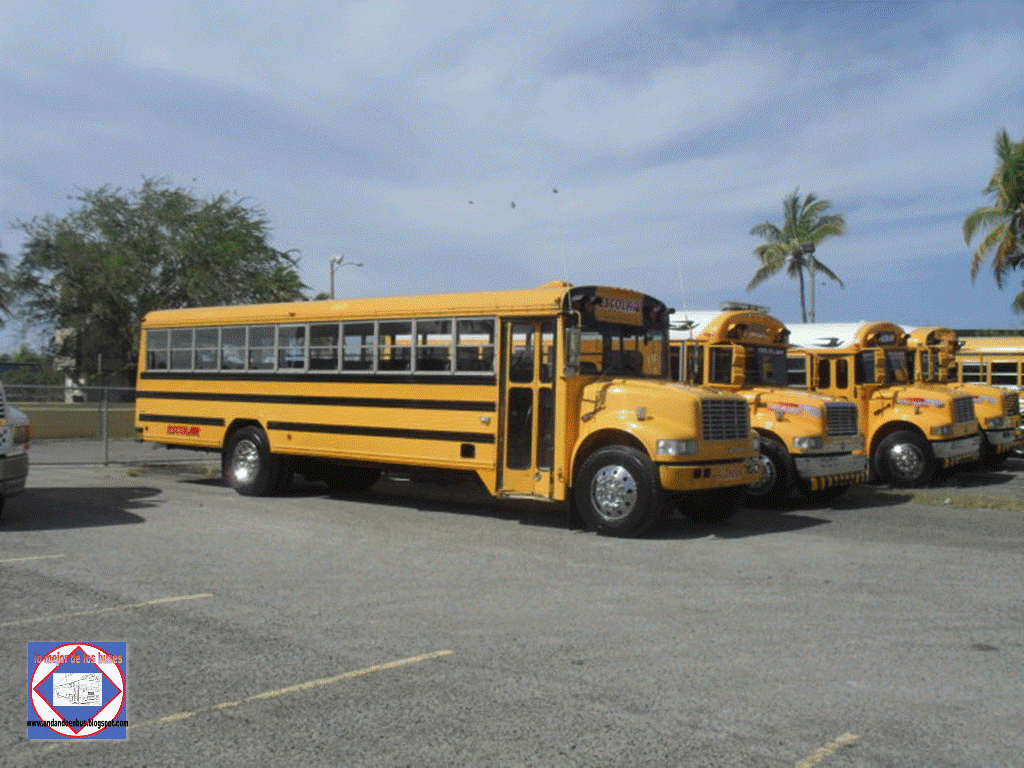 ANDANDO EN BUS: ¡¡COMO SE CUIDAN LOS BUSES EN PUERTO RICO!! NUEVO ESPECIAL