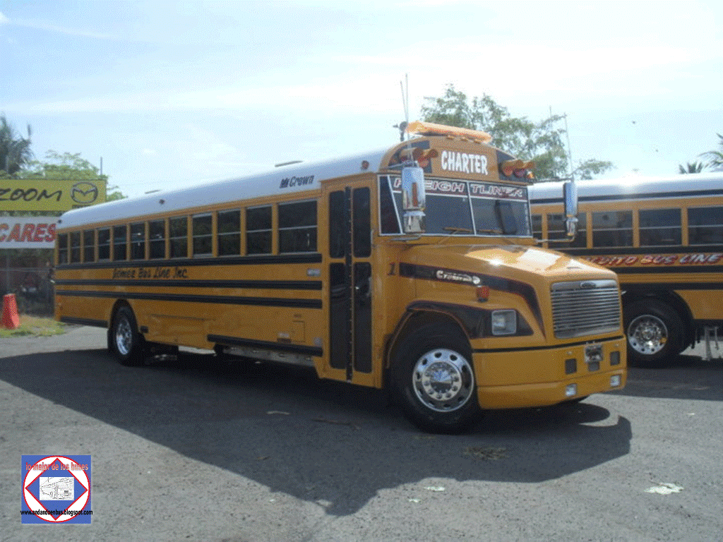 ANDANDO EN BUS: ¡¡COMO SE CUIDAN LOS BUSES EN PUERTO RICO!! NUEVO ESPECIAL