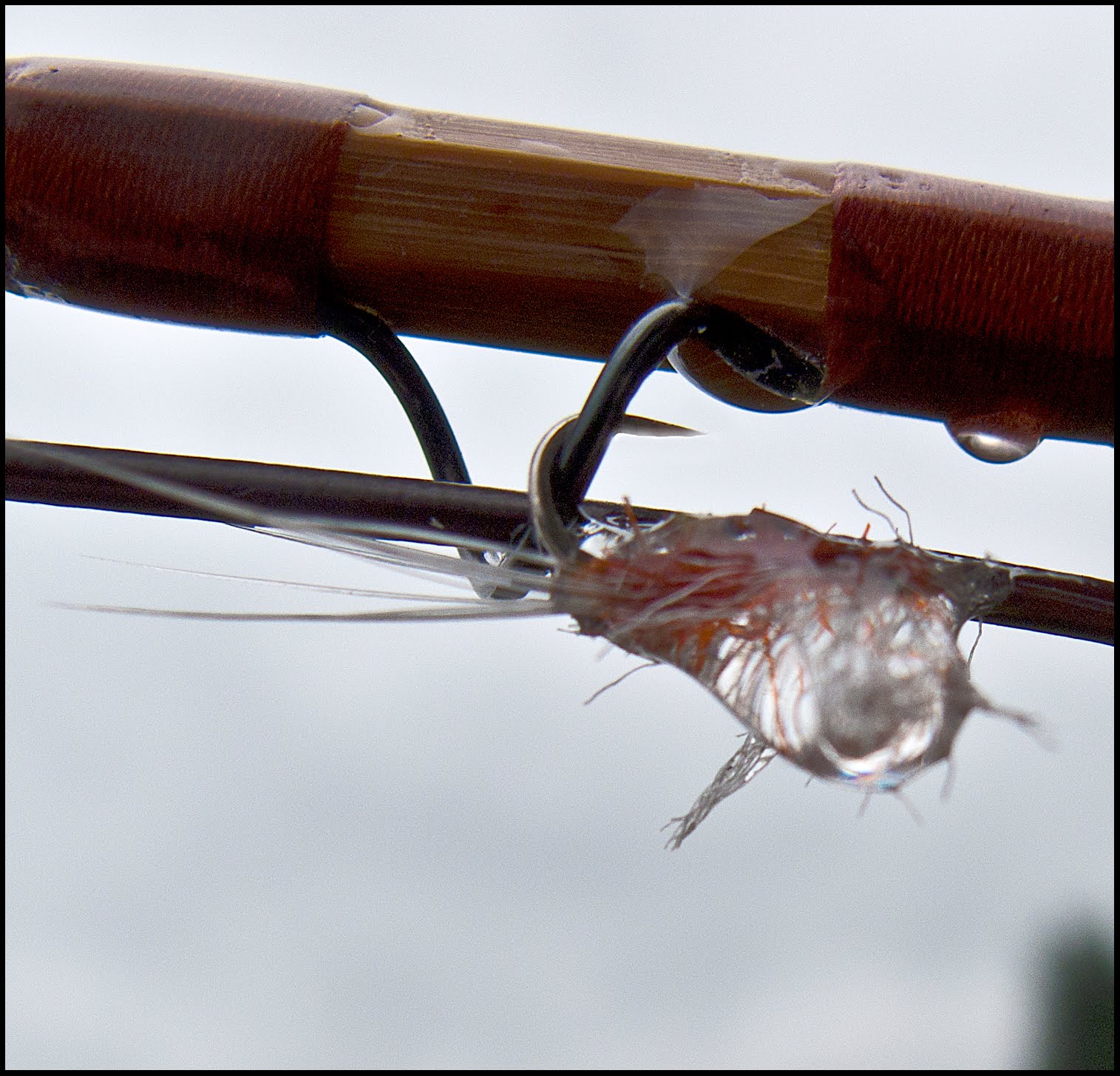 Dry Fly 'Expert': "Dry" Fly?