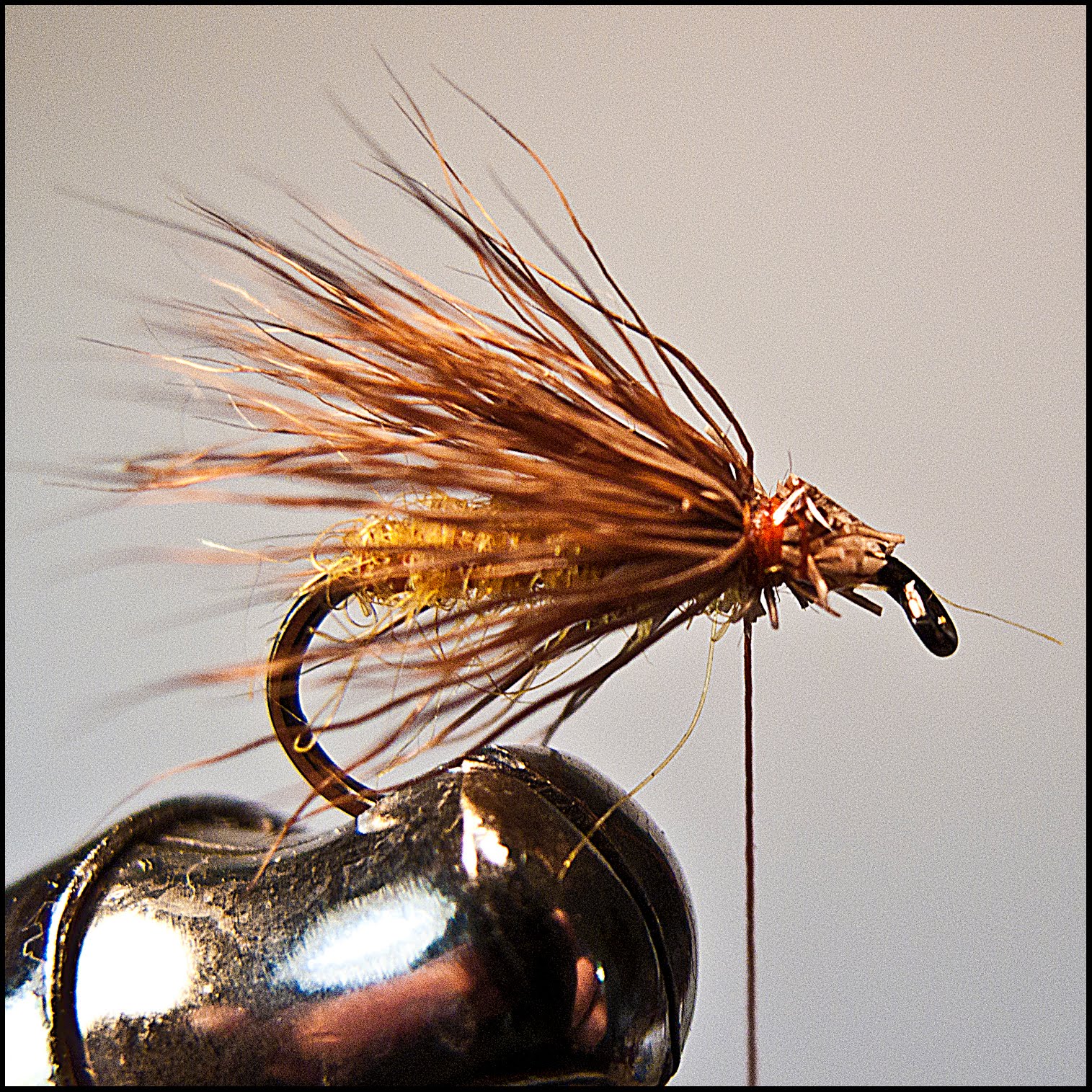 Dry Fly 'Expert': Nondescript Sedge...
