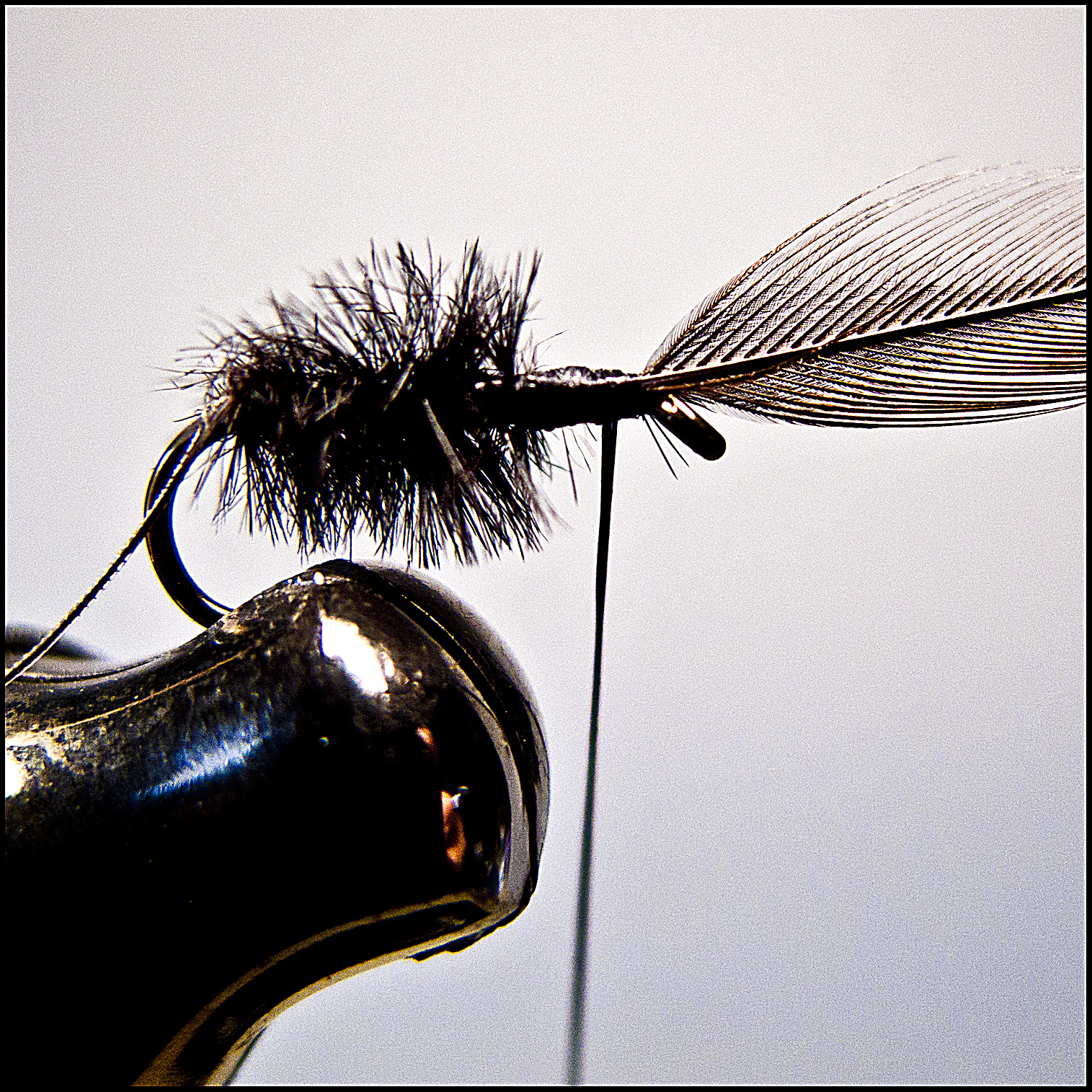 Dry Fly 'Expert': Charles Cotton's Black-Fly!