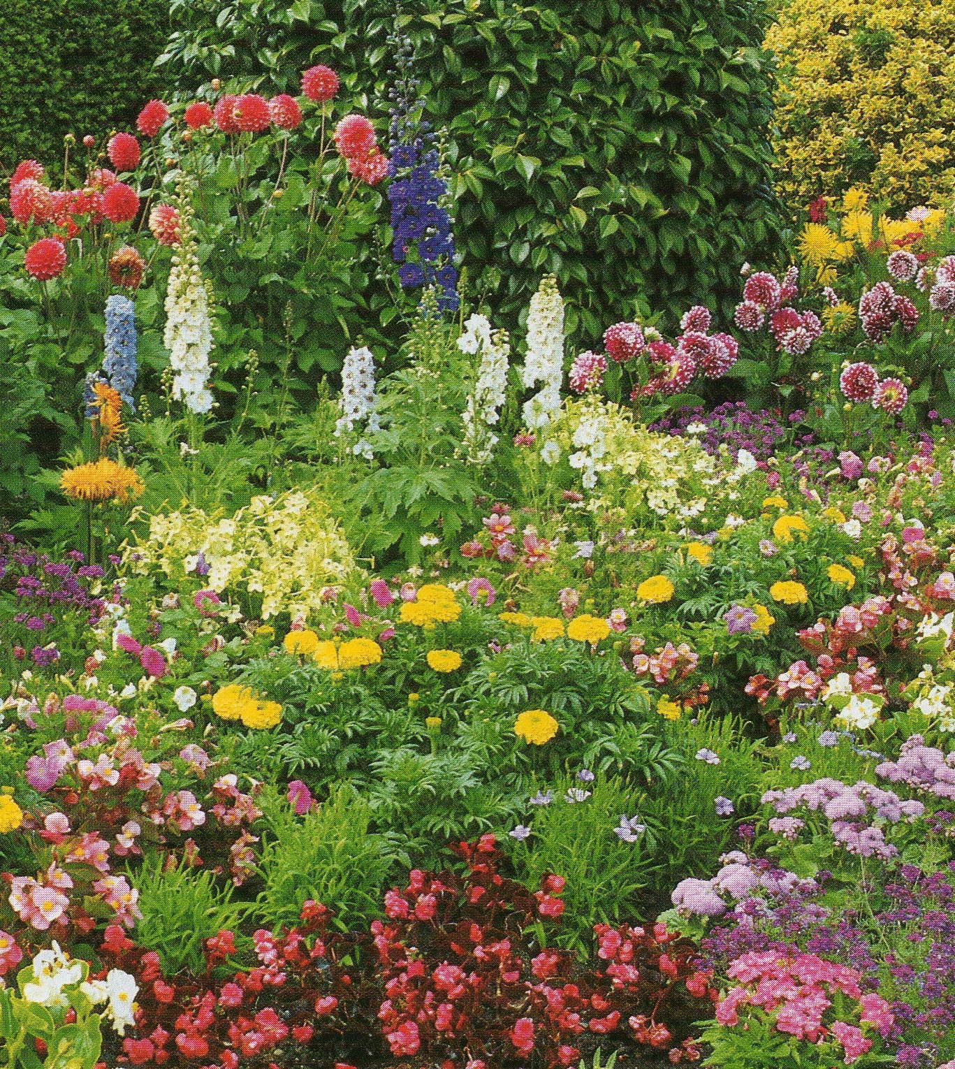 A LADY'S BLOG: LOVE FOR FLOWER GARDENS