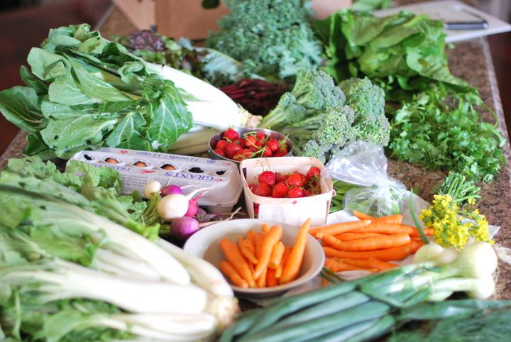 Real Food in New Brunswick: the Spring Harvest