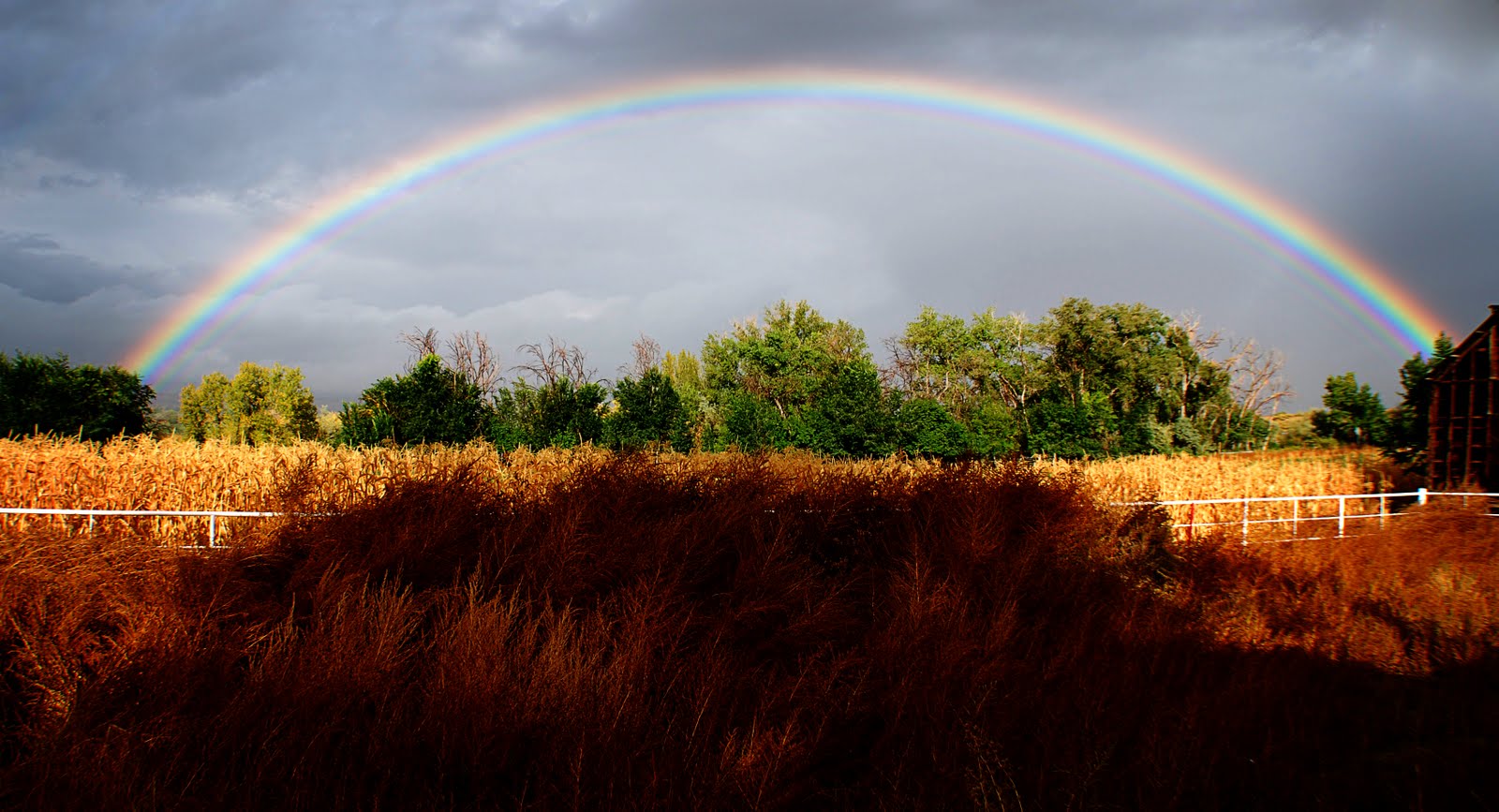 A Mommy's Touch Photography: Rainbows