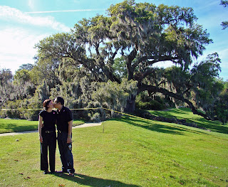 Paint Charleston Daily: Ancient Middleton Oak Breaks Branches and ...