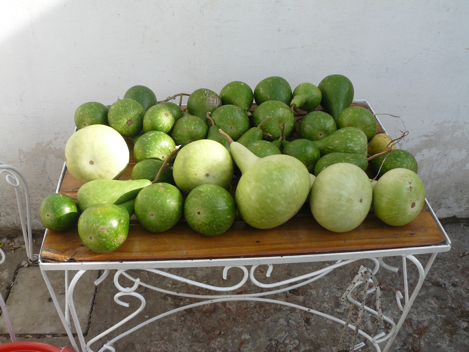 El jardín de Emi: Calabaza Mate