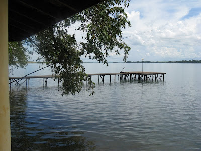 Lugares e Paisagens: MIGUELÓPOLIS - SP - BRASIL