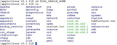 Oracle Applications DBA: Apps R12 – File System