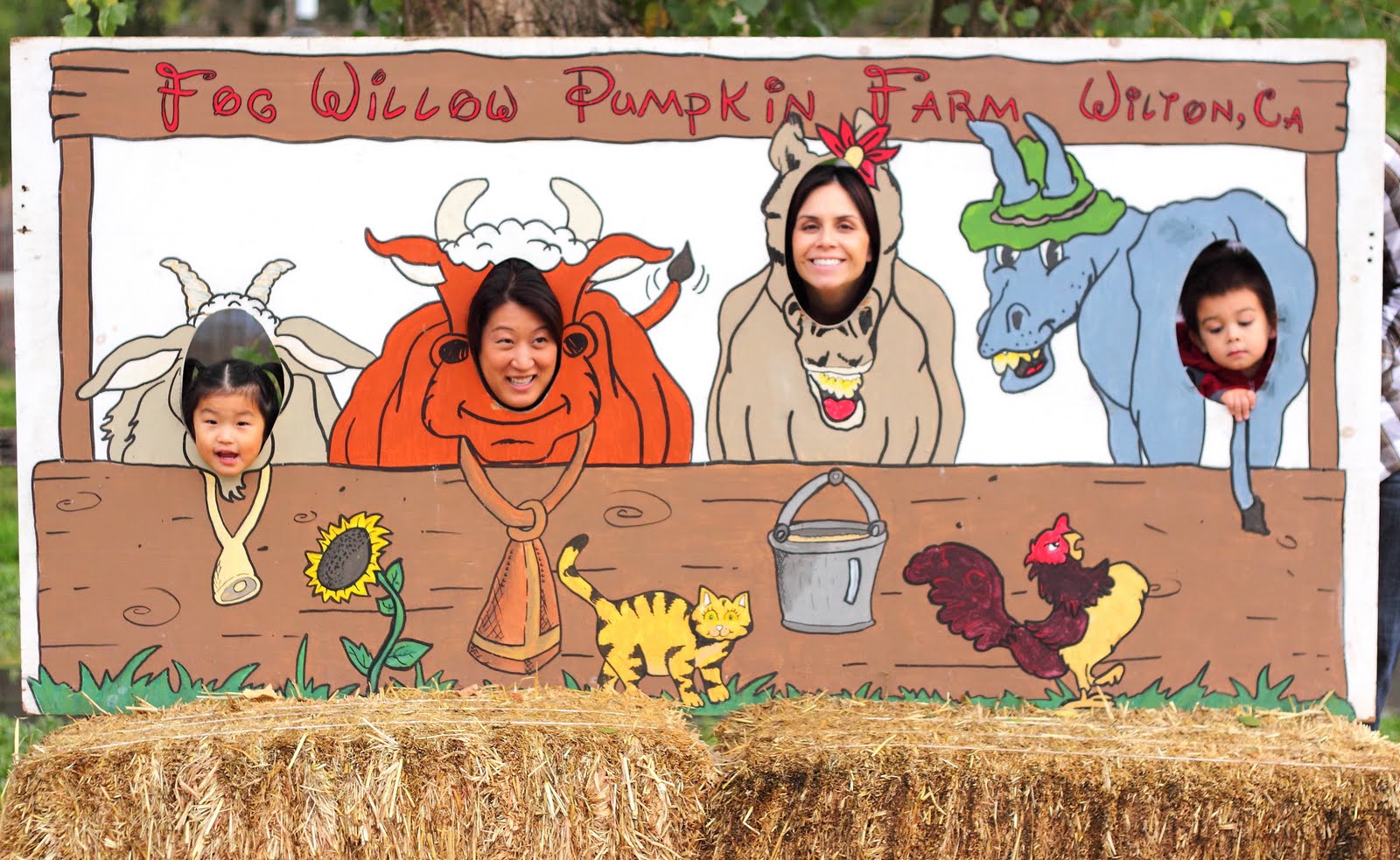 The Life of Miranda Rose Gong