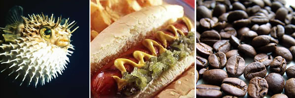 curiosidades que circulan por internet: Los 10 alimentos más peligrosos ...