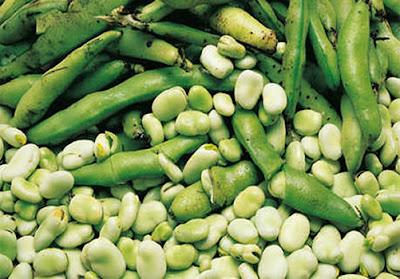 Peru Food: A Peruvian Food Story In Quechua: Iskay Hawas Ruruchamanta