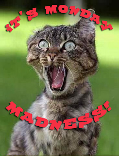 Monday Madness!