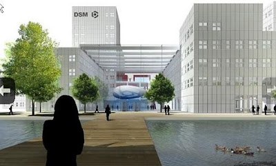 de Dorpskrant Sittard-Geleen: DSM CITY