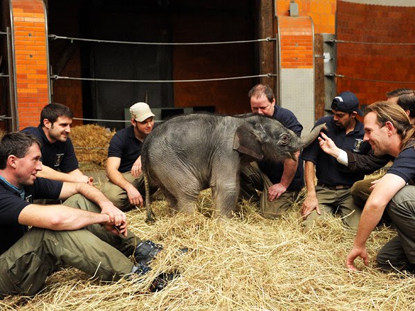 Mach's gut, Jamuna | neulich als ich dachte