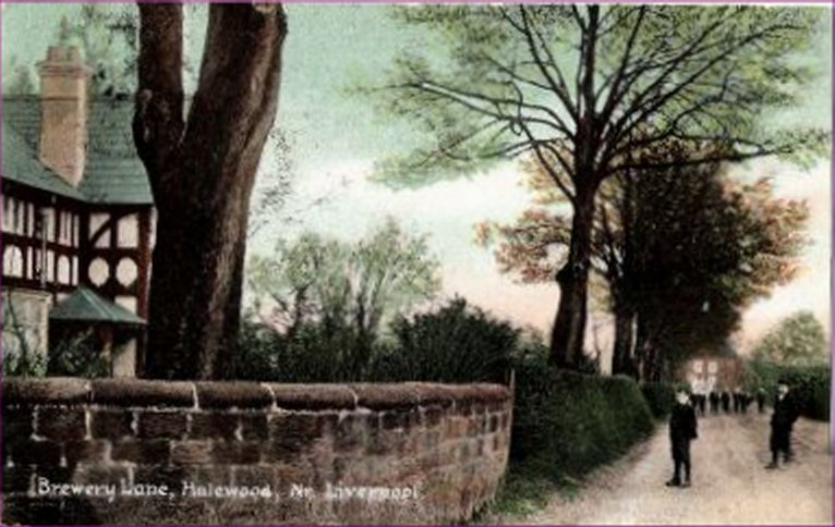 Ian Green: Halewood Village Memories