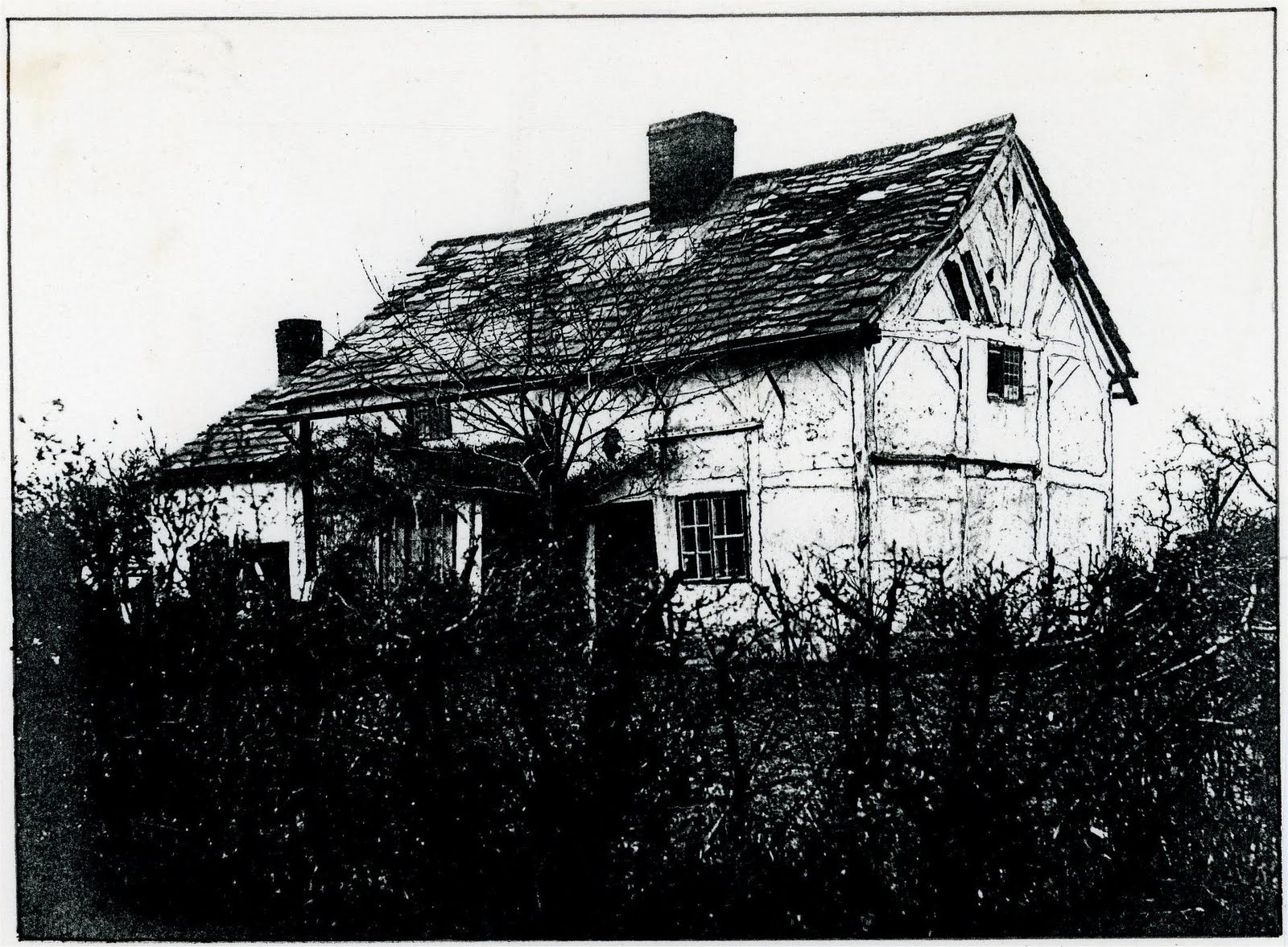 Ian Green: Halewood Village Memories