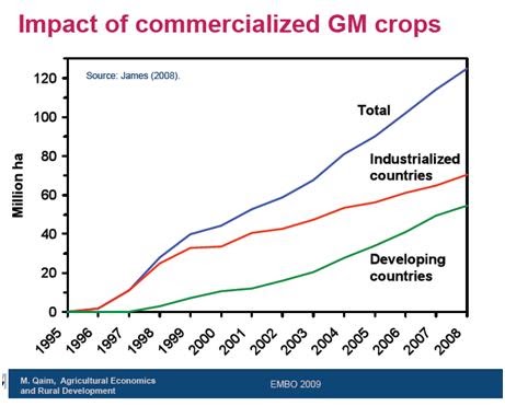 It's a Matter of Science!!!: Golden Rice: You Can’t Give it Away!
