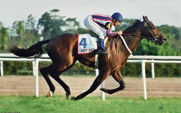 ¿Quien Fue el Mejor ejemplar Norteamericano de la Ultima Década