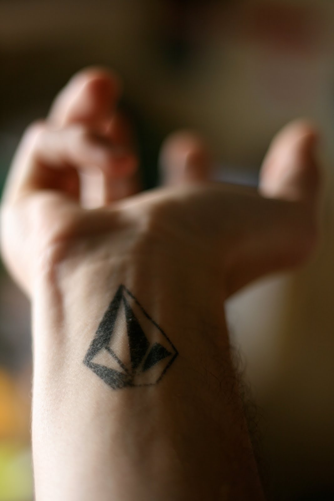 A Futile Attempt At Genius: You can have all of me, Volcom tat included.