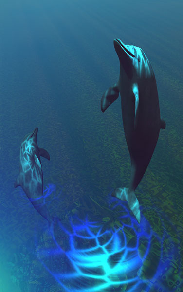 April 2010 | The Dolphin's Wink