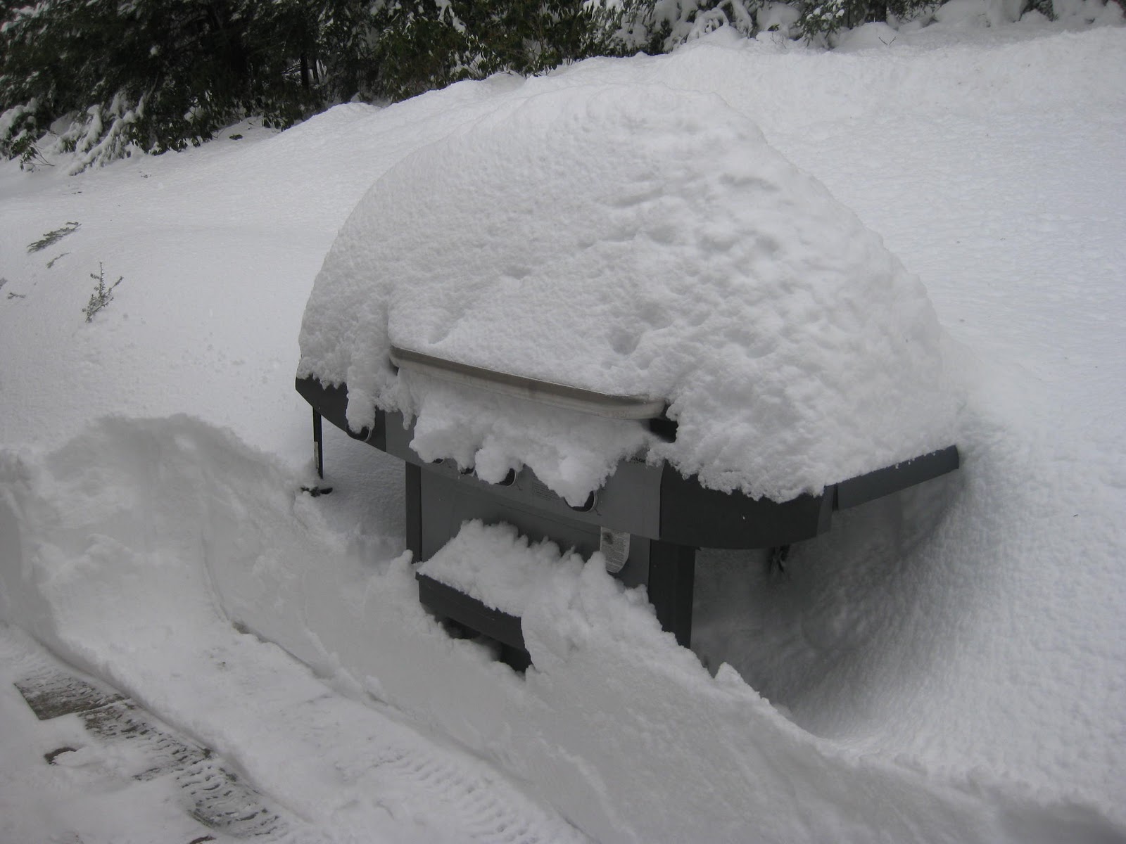 Dinner's Ready: Snow - Comfort Food - Shepherd's Pie