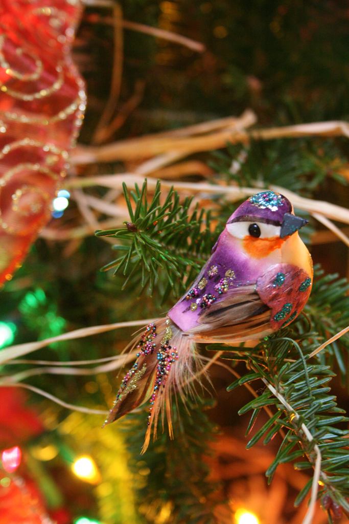 Carotte & Lychee: Projet : Les petits oiseaux de Noël