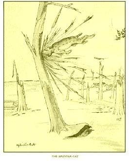 Mythological Beasties and Co.: Splinter Cat