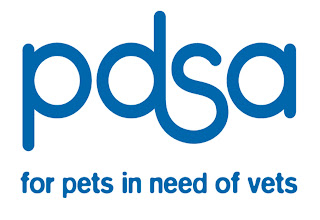 Hannah Harper: Main Task: Charity or Issue, Target Audience and Logo ...