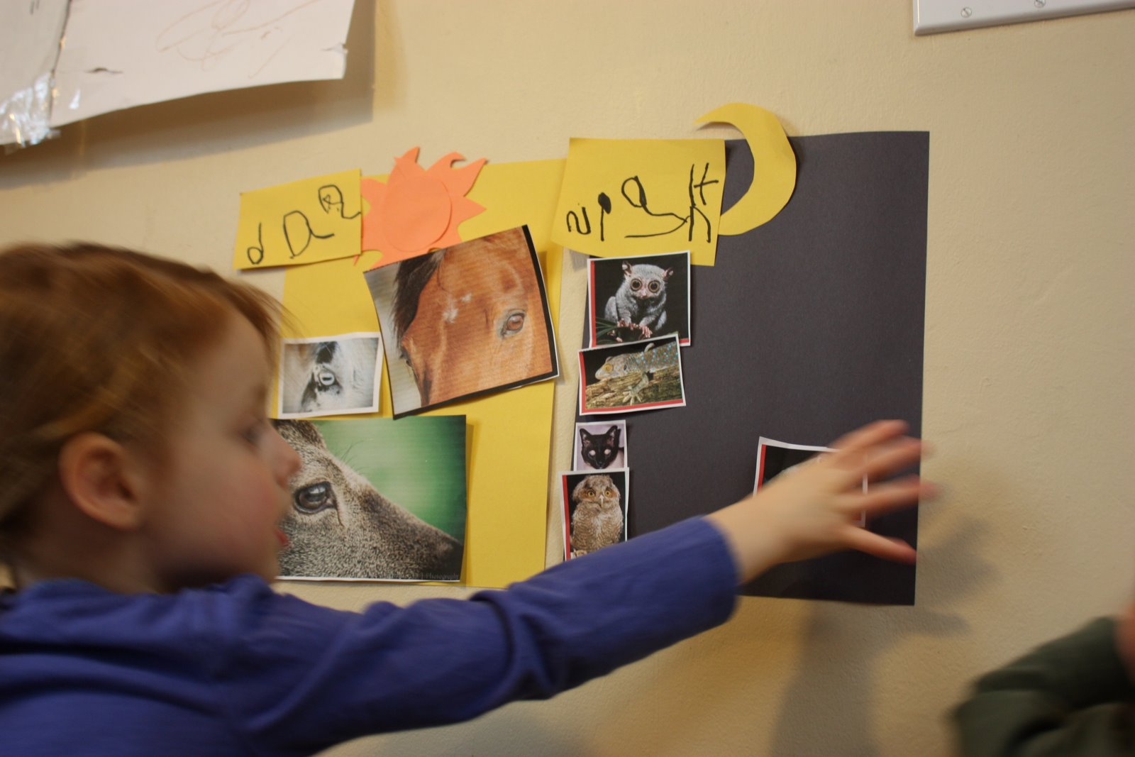Fun Crafts for Preschoolers: Science Lesson: Eyes Made for Day and Night