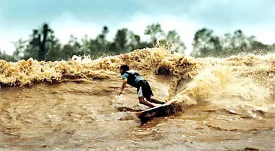LAMBARITÁLIA: A grande onda da Amazônia.