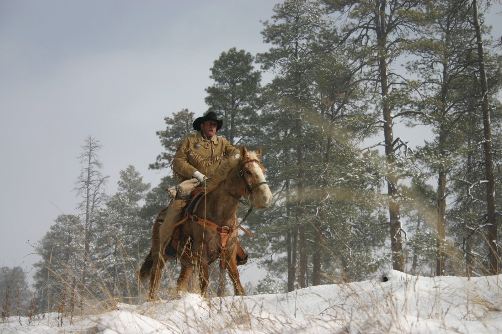 Rim Country Gazette: Hashknife Pony Express live at Down the Street