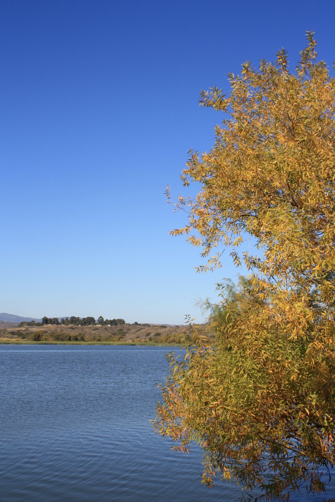 Rosa Baker: Camp Pendleton: Lake O'neill. Before & After color moderation