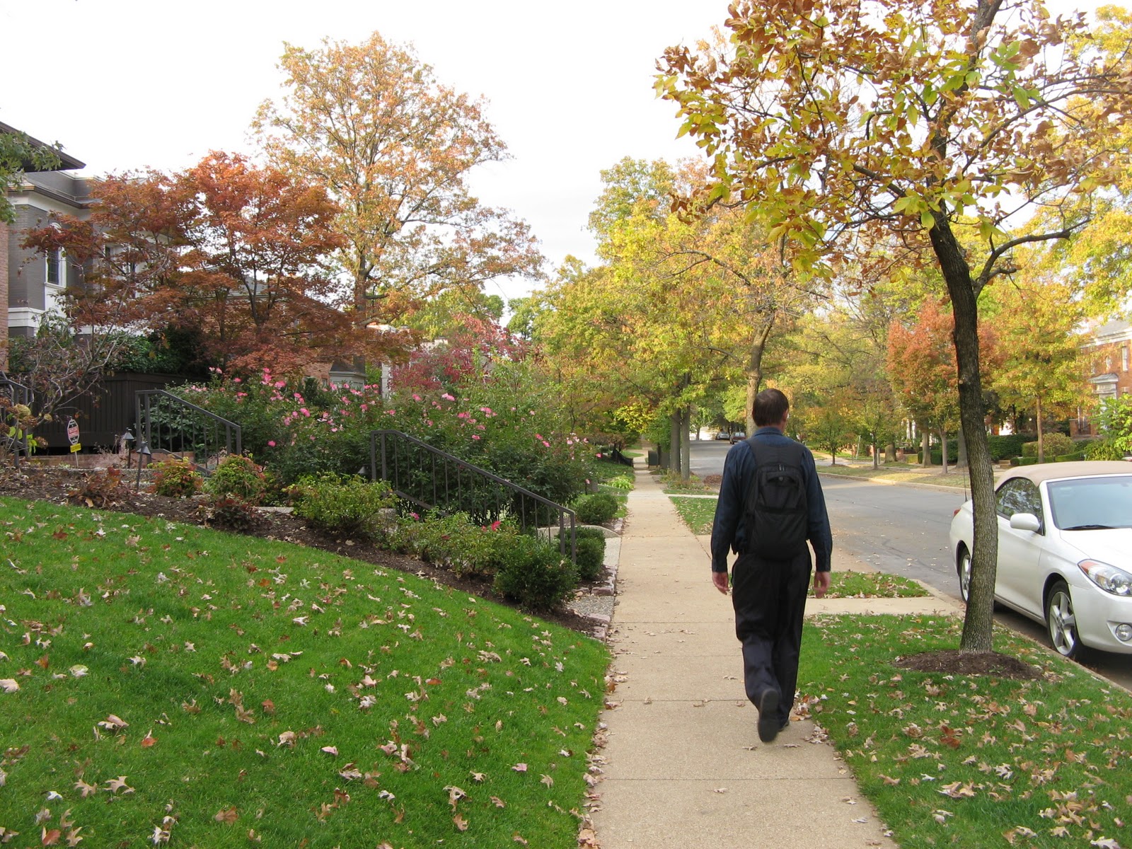 Tory in Missouri: October 2010