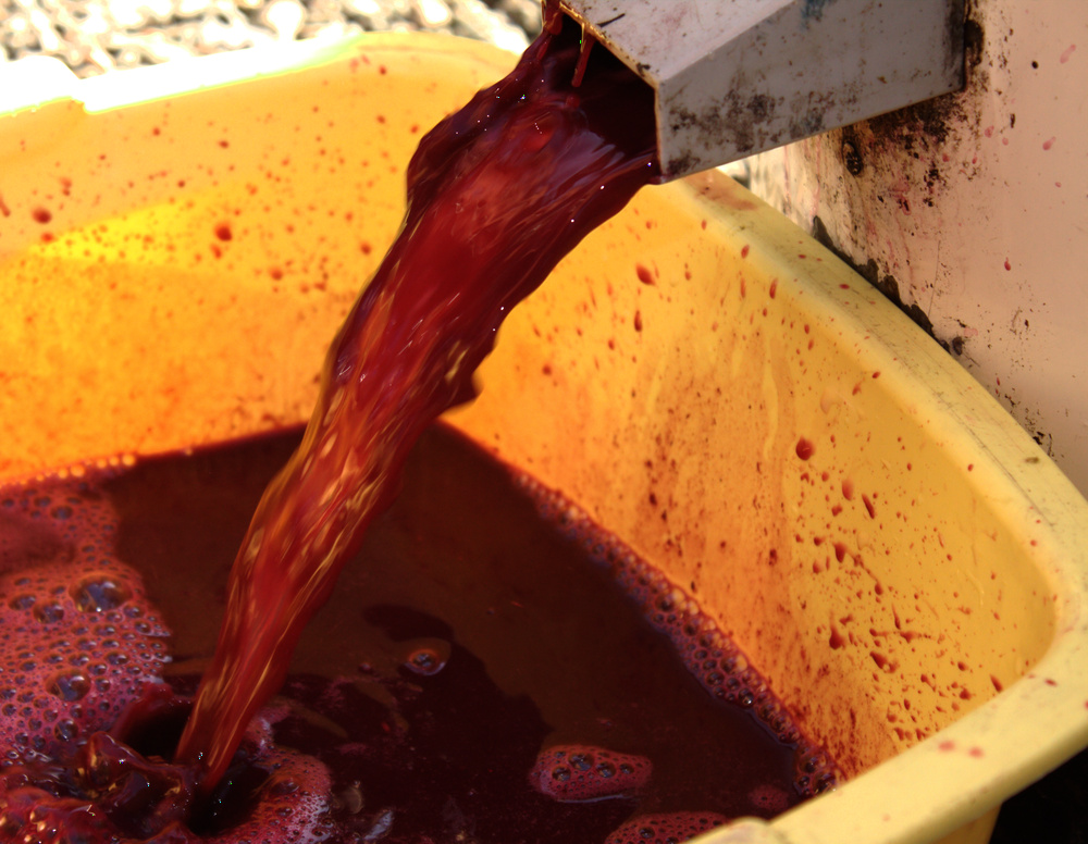 Highly Entropic: End of red wine pulp fermentation and bottling of ...