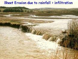 Memories of Life: EROSI