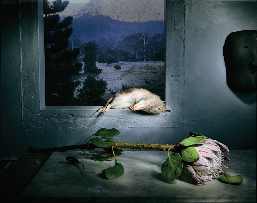 Jones SPF10 Research: Marian Drew (Artist) 10/3/10