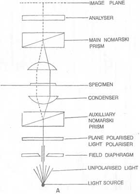 My Scientific Blog - Research and Articles: LIGHT MICROSCOPY