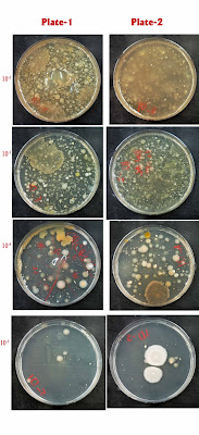My Scientific Blog - Research and Articles: Microbial Water Analysis