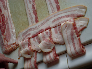 Meat Incorporated: Bacon Turtle