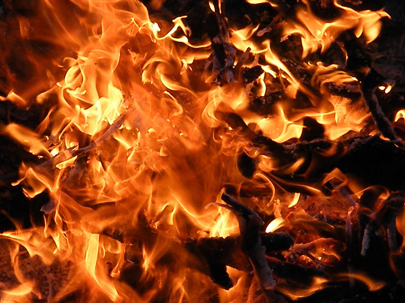 OldSchoolHaiku: Haiku of Fire